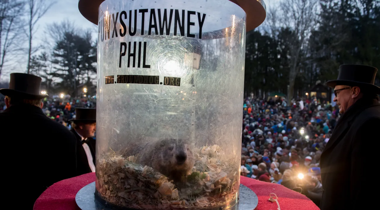 Here’s How Groundhog Day Got Its Start | The Daily Caller