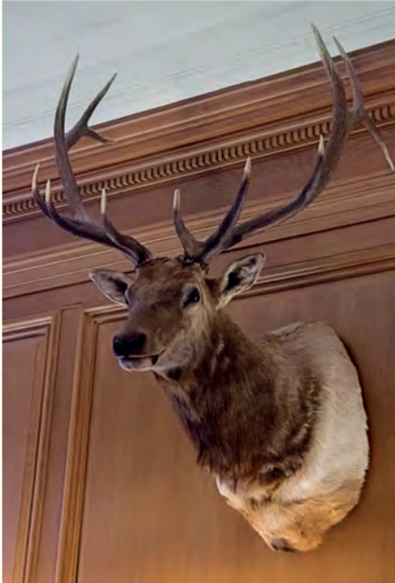 Neil Gorsuch Keeps A Giant Reminder Of Justice Scalia At The Supreme ...