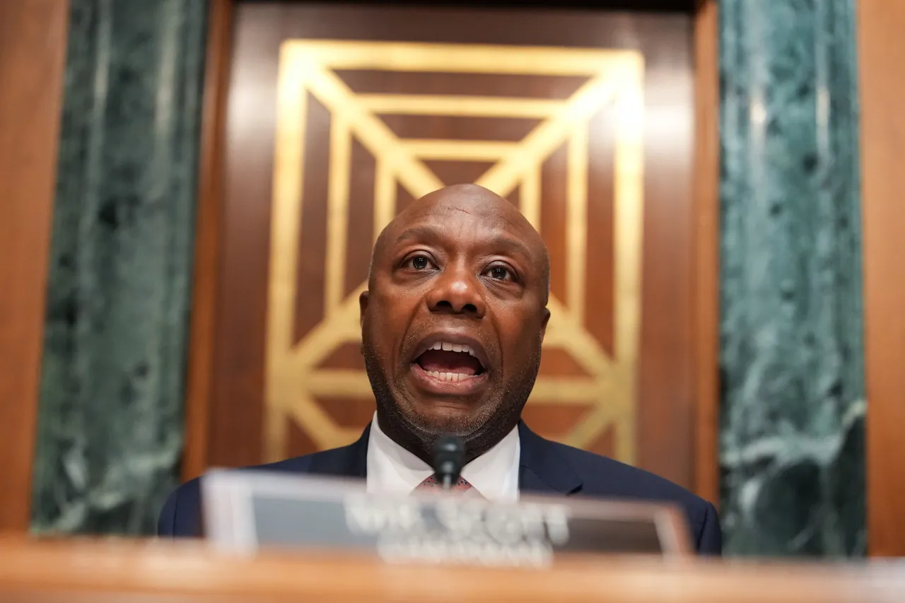 EXCLUSIVE: New Conservative Campaign Demands Senate Buck Big Banks In ...