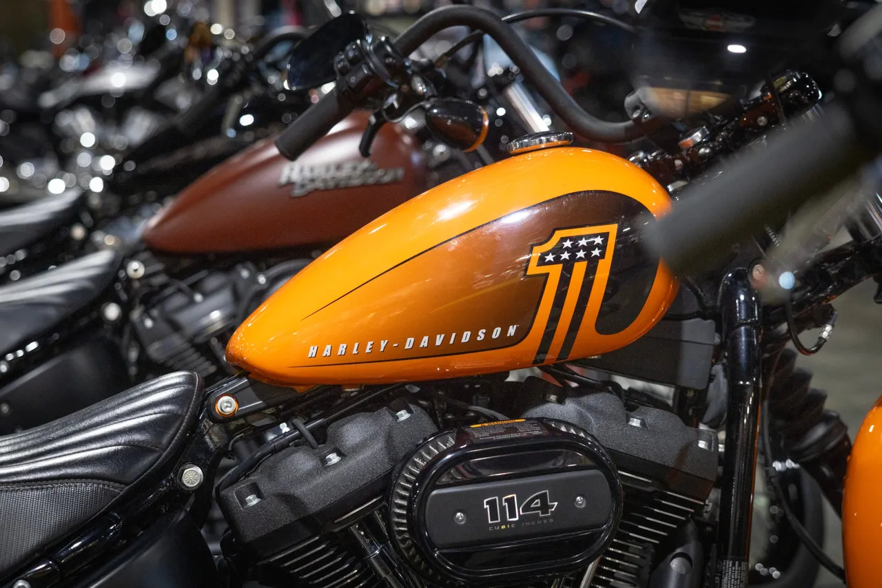 Harley-Davidson Backsliding On Wokeness Despite Previous Policy ...