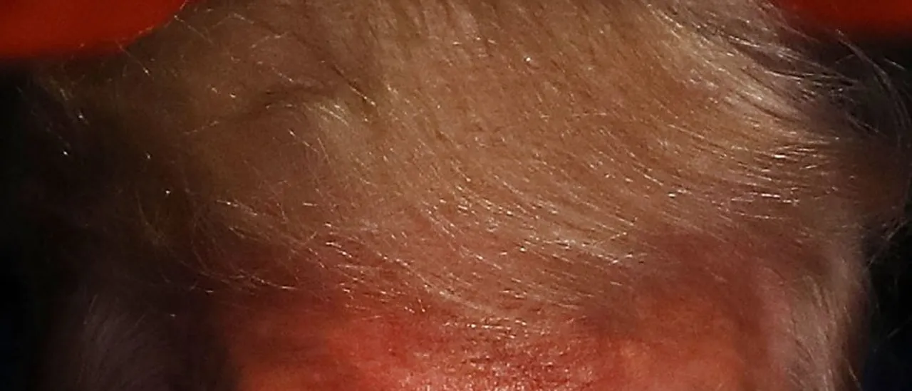Hair Force One, You Are Cleared For Takeoff — DEFINITIVE PROOF ...