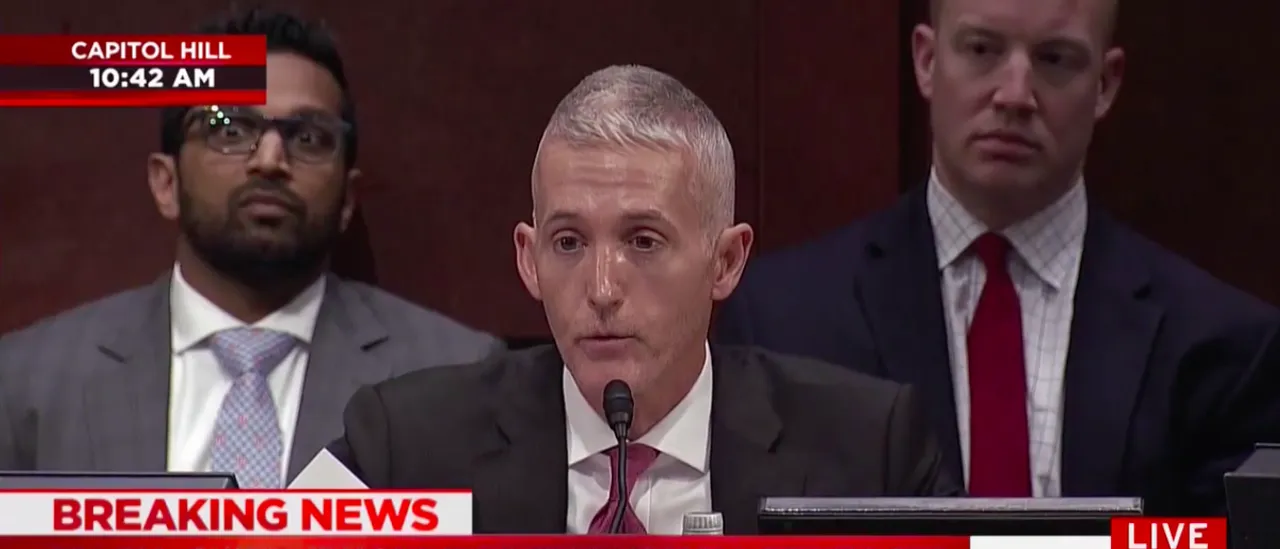 CNN’s CIA Analyst: ‘Trey Gowdy Needs To Have His Ass Kicked’ [VIDEO ...