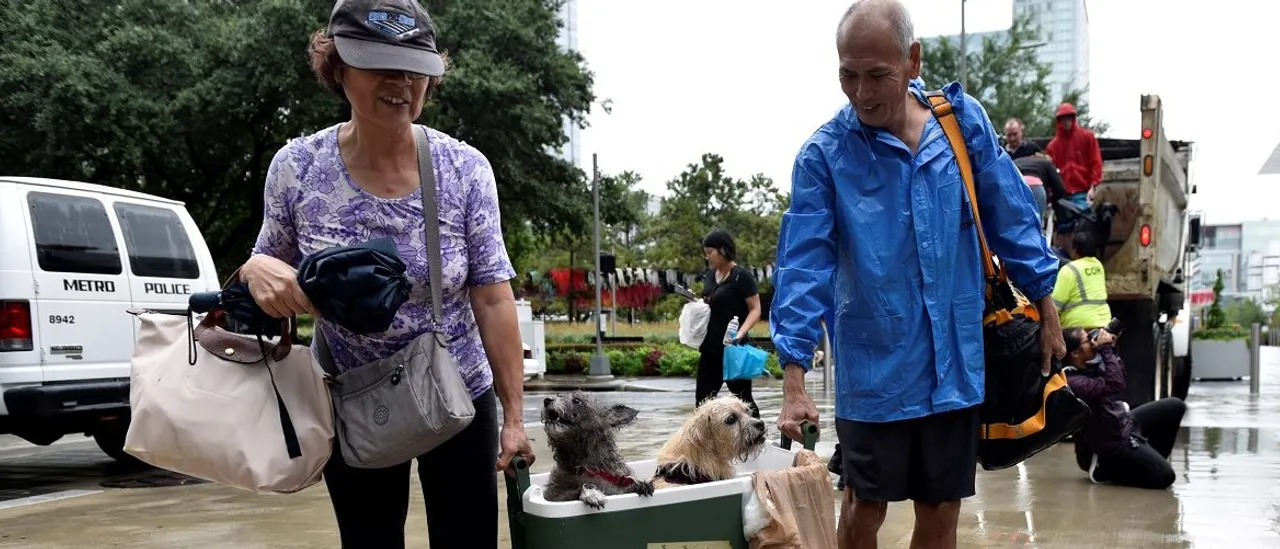 National Guard Reports Rescuing 300 Pets Rescued From Hurricane Harvey ...
