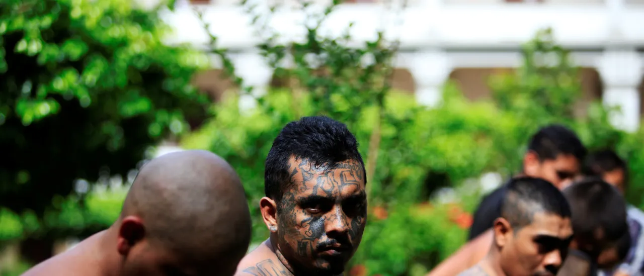 More Than 20 MS-13 Gang Members Arrested In California | The Daily Caller