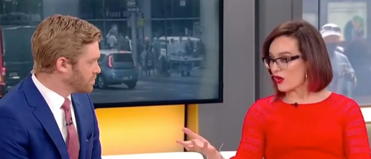 ‘Outnumbered’ Panel Goes Off The Rails When Dem Strategist Says The ...