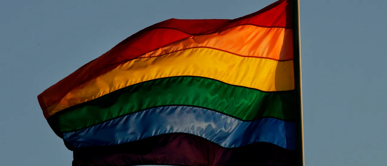Michigan May Add ‘Non-Binary’ Driver’s License Option | The Daily Caller