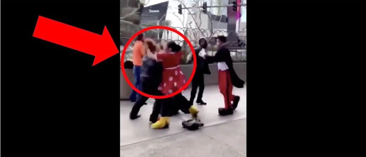People In Mickey And Minnie Mouse Costumes Get Into Wild Brawl | The ...