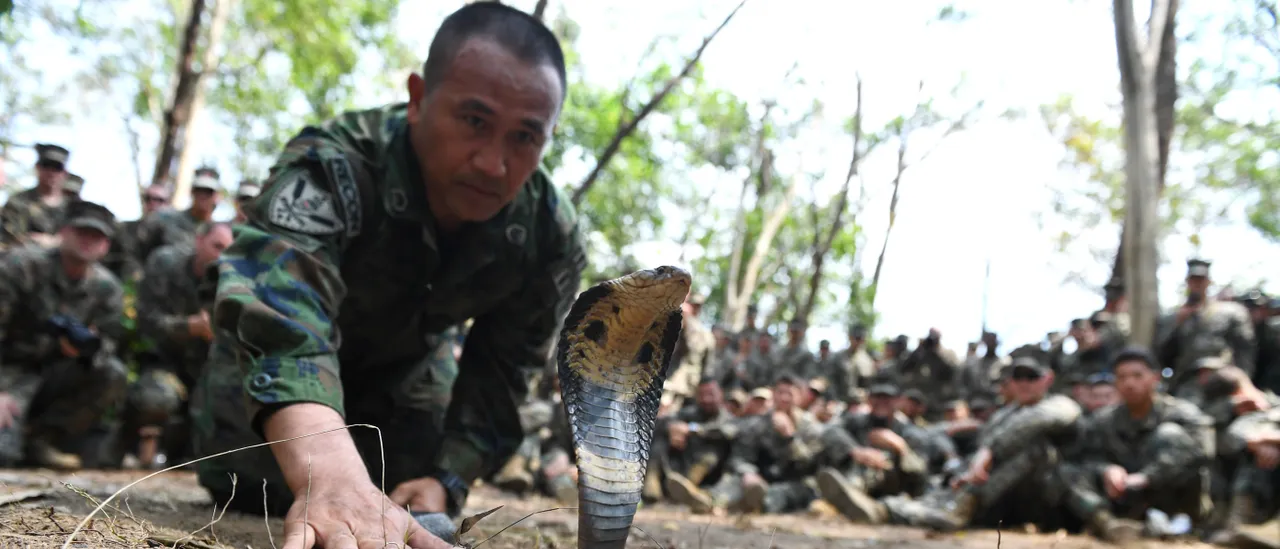 PETA Urges Military To Stop Drinking Cobra Blood In Survival Exercises ...