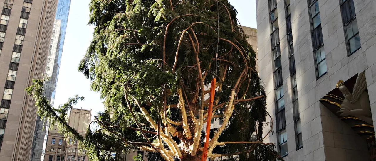 Rockefeller Center Hits Back After Being Slammed For Christmas Tree’s ...