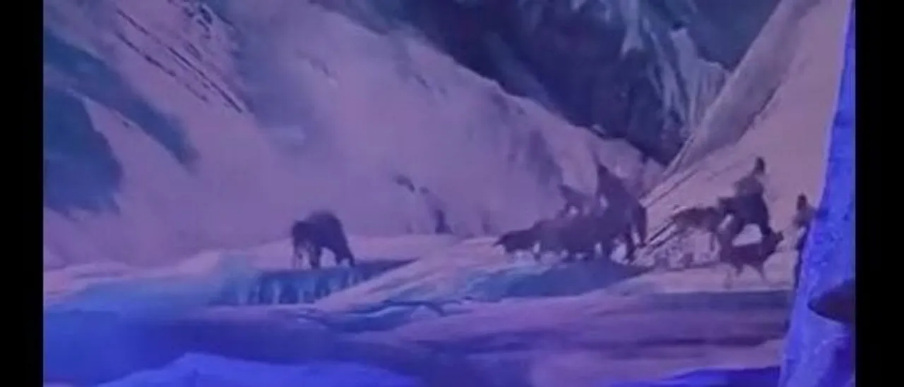 Video Of Chinese Play Featuring Real Wolves Set Loose On Actors Goes ...