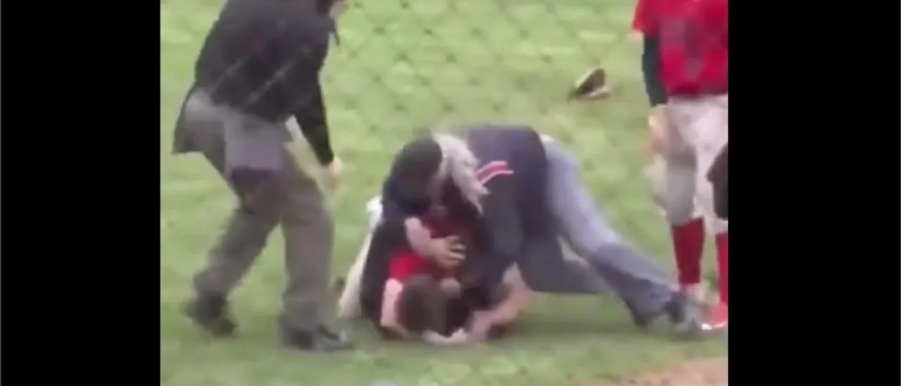 Baseball Players Brawl In Wild Viral Video | The Daily Caller