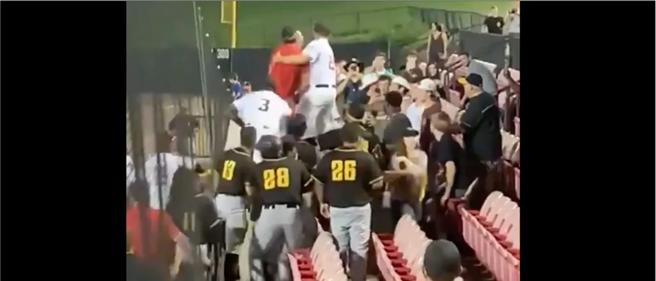 Sussex County Miners Baseball Players Fight With Fans | The Daily Caller