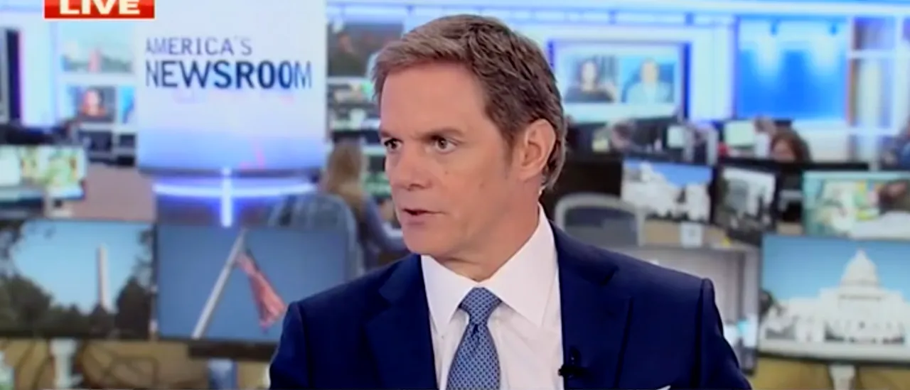 Fox’s Bill Hemmer Briefly Stunned When BLM Leader Aims Racial Slur At ...