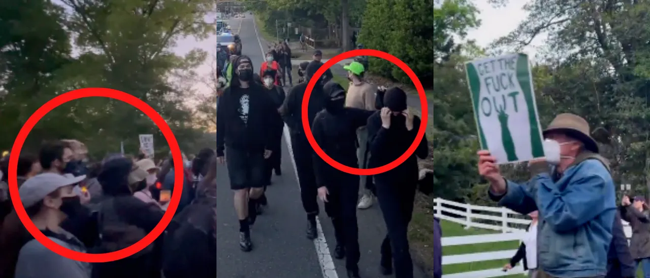 Here Are The Biggest Weirdos At Left-Wing Protests This Week So Far ...