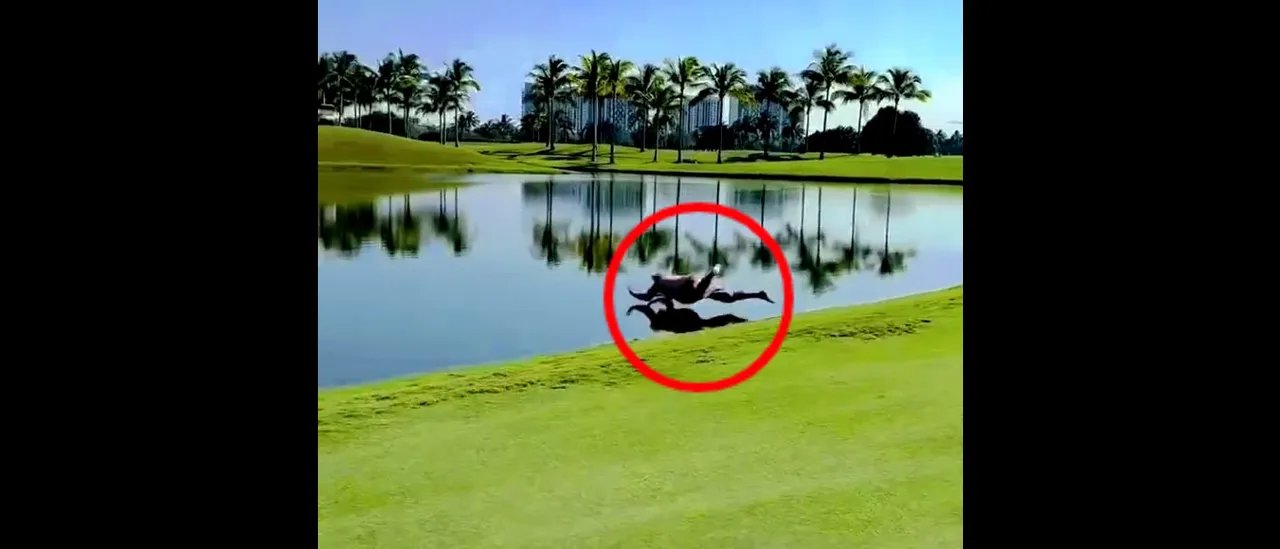 John Daly Belly-Flopping Into A Gator-Infested Pond Will Be The ...