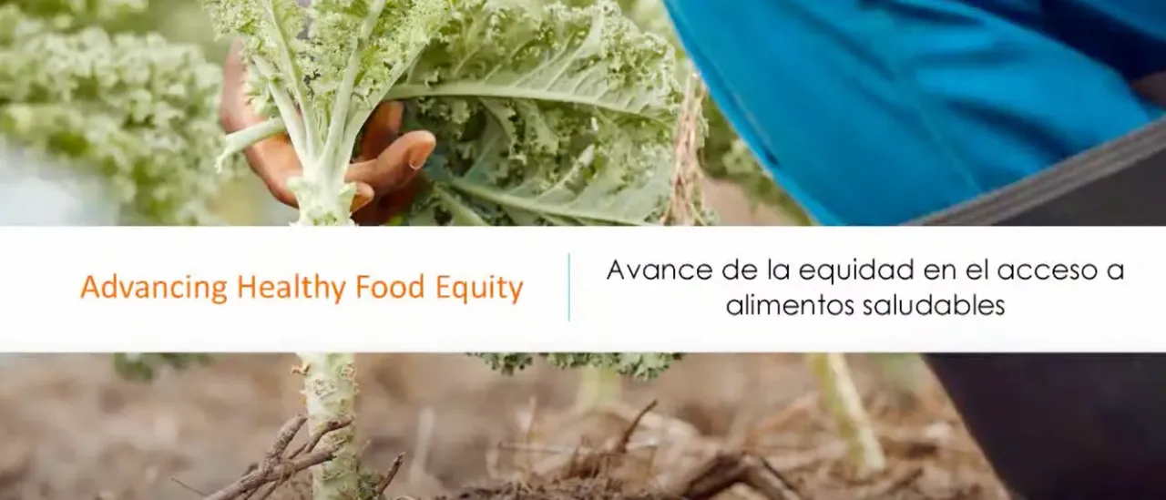 Nonprofit Charity’s ‘Food Equity’ Program Is Racist, Watchdog Alleges ...