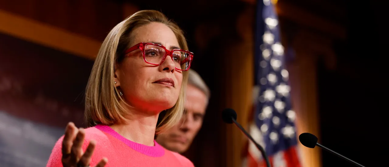 ‘Old Dudes … Eating Jell-O’: Sen. Kyrsten Sinema Reportedly Unleashes ...