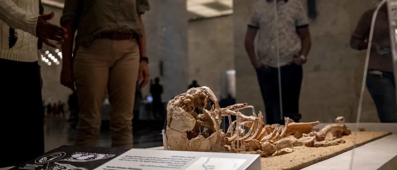 Scientists Reconstruct Face Of 35,000-Year-Old Egyptian Skeleton | The ...