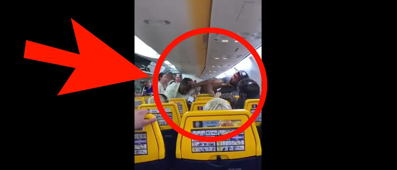 More Airplane Chaos! Brawl Pops Off Over The Famous Window Seat | The ...