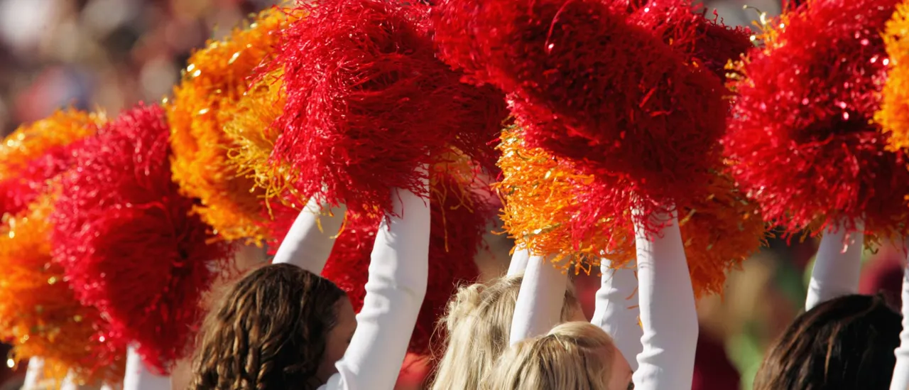 16-Year-Old Cheerleader Dies After Suffering Sudden Cardiac Arrest ...