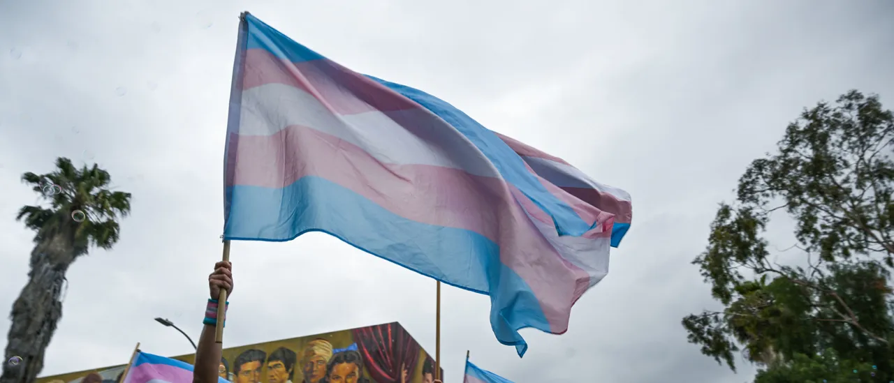BEAVER: What Does The Trans Movement Signify For Republican Women ...
