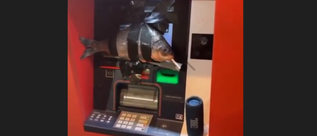 Police Arrest Teen For Allegedly Taping Fish To ATM Machines: REPORT ...