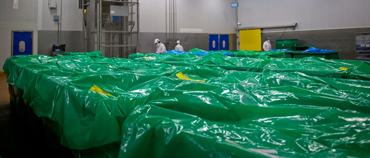 Family Sues Company After Deboning Machine Kills Son Who Was Illegally ...