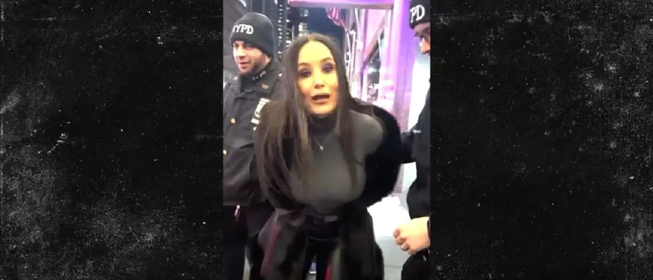 Video Shows Police Handcuffing Famous Porn Star Lisa Ann | The Daily Caller