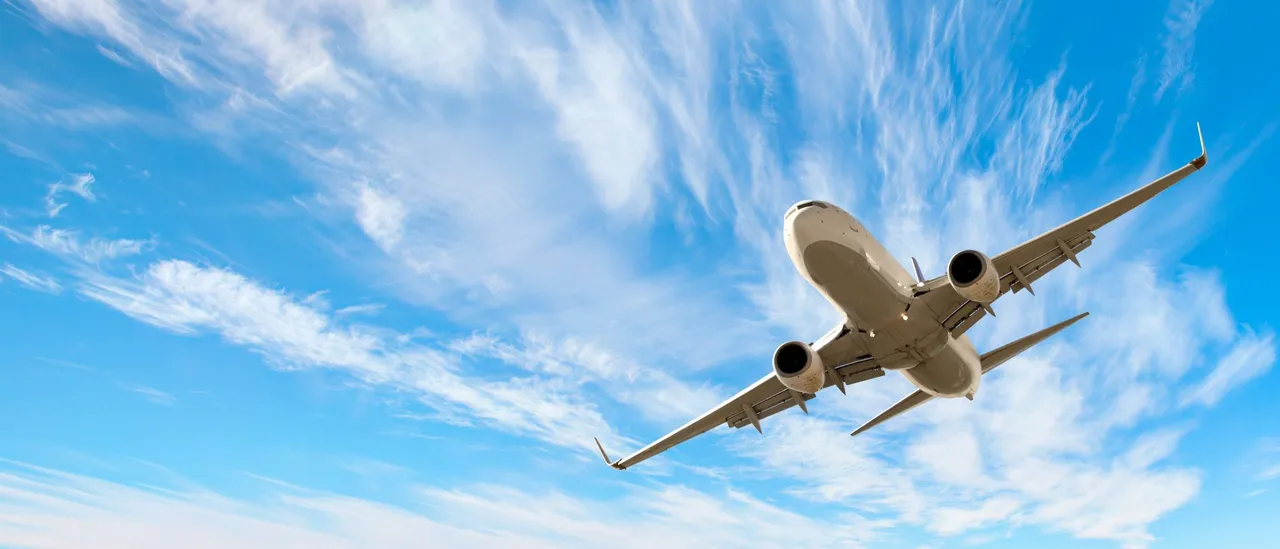 Flight Docs Reveal Which Cities Are Receiving Migrants Under Biden’s ...