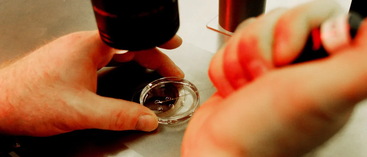 California Fertility Clinic Sued For Allegedly Implanting Non-Viable ...