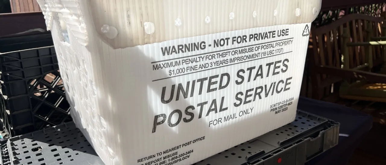 Feds Surveilling Thousands Of Americans’ Mail Each Year | The Daily Caller