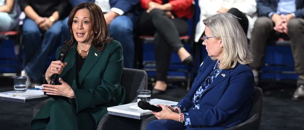 Harris Campaign Hits New Level Of Stupidity In Michigan | The Daily Caller