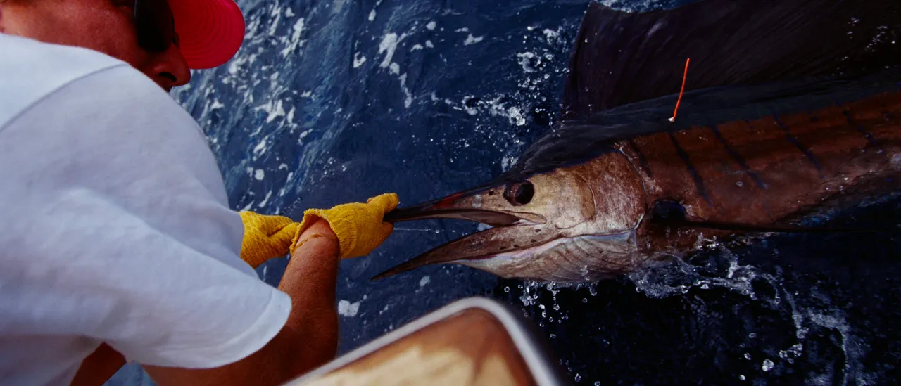Fisherman Appears To Break Record By Reeling In Absolutely Massive ...