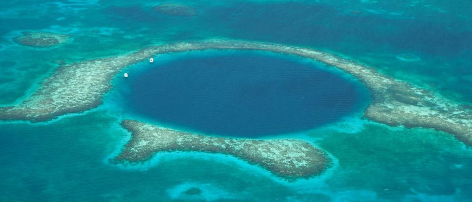 Researchers To Explore 450-Foot ‘Green Banana’ ‘Blue Hole’ Off Florida ...