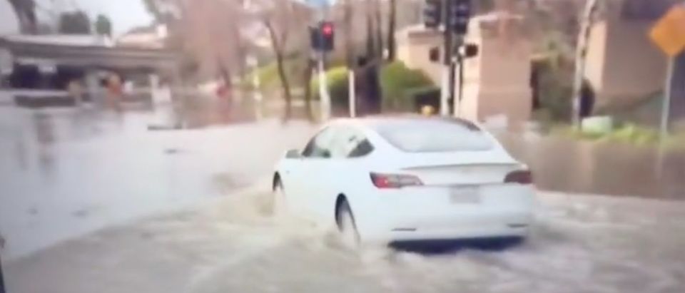 Elon Musk Shares Amazing Video Of Tesla Driving Through Flooded Area ...