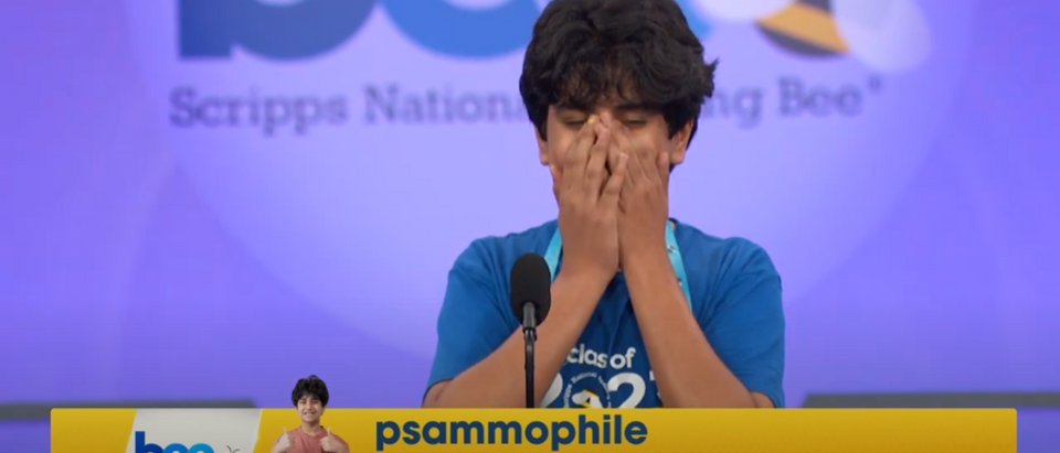 Eighth Grader Correctly Spells ‘Psammophile’ To Win Scripps National ...