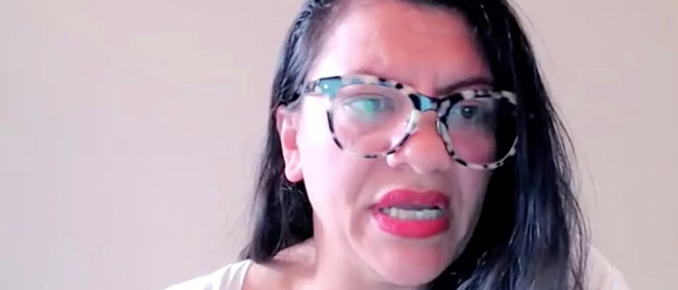 Rashida Tlaib Tells Climate Activists Arrested For Vandalism, Blocking ...