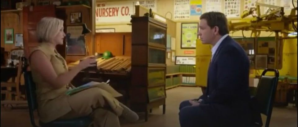 DeSantis Debates NBC Reporter Over Promise To Use ‘Deadly Force ...