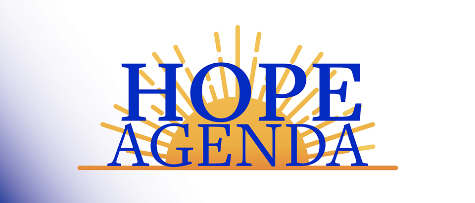 HEATHER HIGGINS: The GOP Can Win Women With The Hope Agenda | The Daily ...