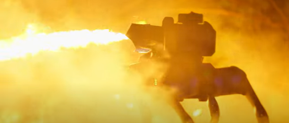 Ohio Company Unveils Terrifying Flame-Throwing Robot Dog, ‘Thermonator ...